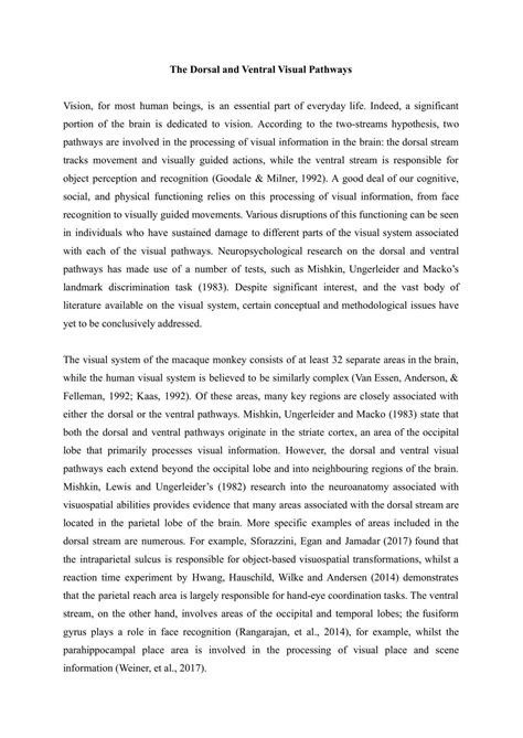 The Dorsal And Ventral Visual Pathways Psy30050 Behavioural Neuroscience Ucd Thinkswap