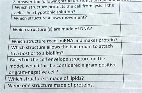 Solved Help With All Answer The Following Structurelun4o4 Which Structure Protects The Cell