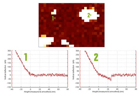 Single Molecule Force Spectroscopy Bruker