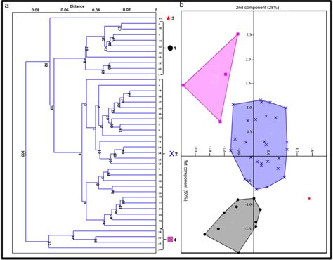A Clustering With UPGMA Each Symbol Represents A Different Group Of Download Scientific