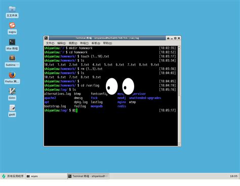 Linux 目录结构及文件基本操作 蓝桥云课
