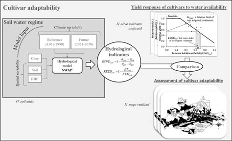 schematization of the procedure used to assess cultivars adaptability