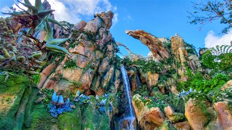 Complete Guide To Disneys Animal Kingdom Flying Off The Bookshelf