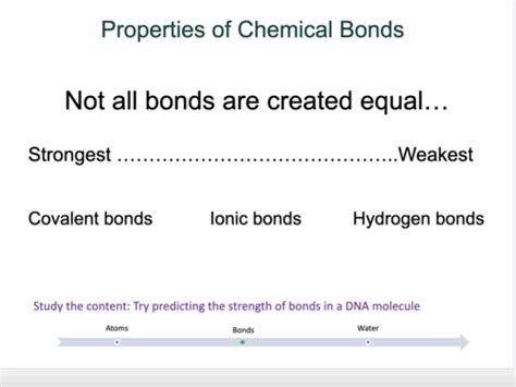 Bio 1 Exam Flashcards Quizlet
