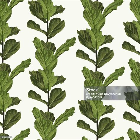 꽃 완벽 한 패턴 녹색 바이올린 잎 무화과 식물 밝은 배경 파스텔 빈티지 테마 바나나 잎에 대한 스톡 벡터 아트 및 기타 이미지