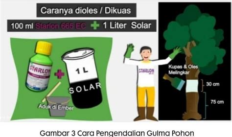 Herbisida Spesialis Pengendalian Gulma Berkayu Nufarm Indonesia
