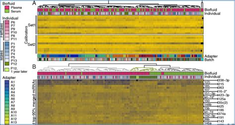 Researchers Use RNA Seq To Generate Human Plasma And Serum Extracellular Small RNA Reference
