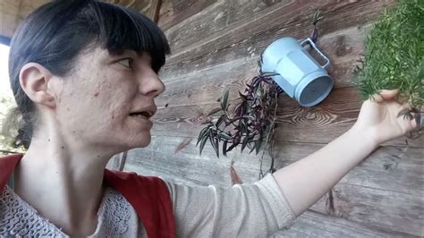 ქარმა ქოთნის ყვავილები გამიფუჭა Youtube