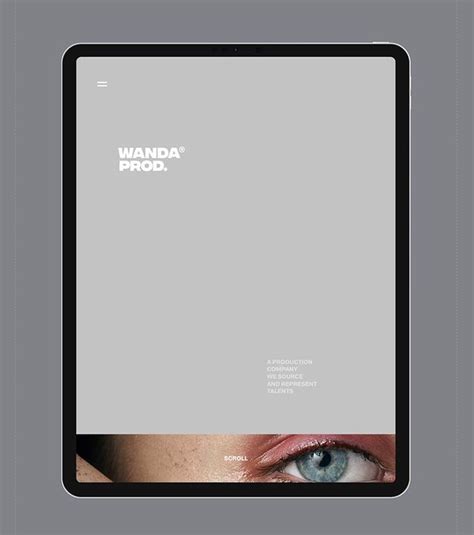 Pin By Xuyifan On 快速收藏 Web Design Interactive Design Graphic Design Website