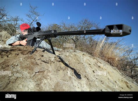 50 Caliber Sniper Rifle Shot 50 Bmg Kills Deer Without Touching It