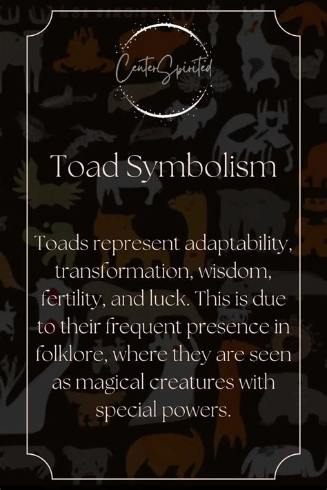 Toad Symbolism And Spiritual Meaning