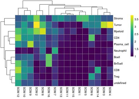 9 Cell Phenotyping Analysis Workflow For Imc Data
