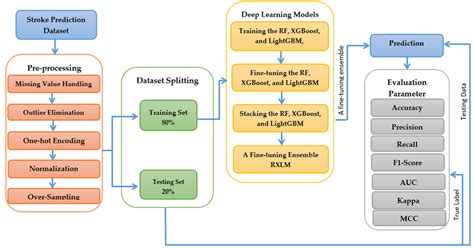 The Methodology For The Tuning Ensemble Rxlm For Cerebral Stroke Download Scientific Diagram
