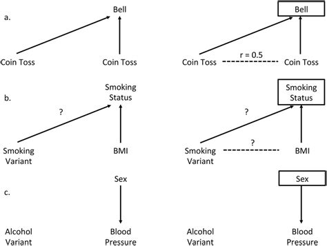 Illustration Of Collider Bias Panel A Shows The Basic Premise Of Download Scientific Diagram
