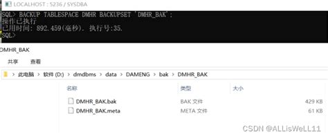Disql工具联机备份备份数据库、表空间、表和归档backup Database Backupset Csdn博客