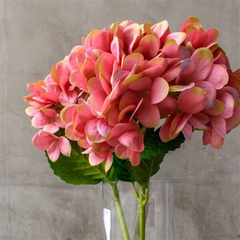 Hydrangea Duchess 50cm Stem Pure Love Home