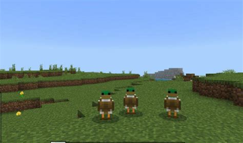 Download Duck Mod For Minecraft PE Waterfowl Creatures