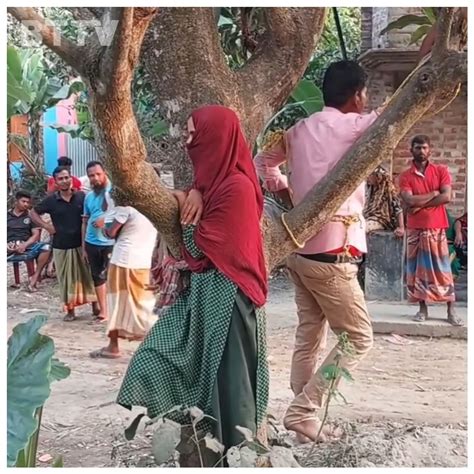 Bttv এই আম গাছটা যে শুধু ছায়া দেয় তা নয় অনেক গ্রাম্য বিচারের সাক্ষীও থাকে। সেদিন সন্ধ্যায়