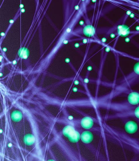 Beyond Labels Diving Deep Into The Complexity Of Single Cell Morphology Research Communities