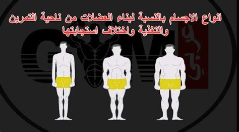 انواع الاجسام بالنسبة لبناء العضلات من ناحية التمرين والتغذية واختلاف
