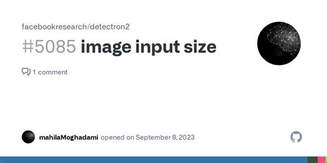 Image Input Size · Issue 5085 · Facebookresearchdetectron2 · Github