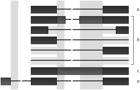 box diagram of aligned alternative splicing patterns in relation to a