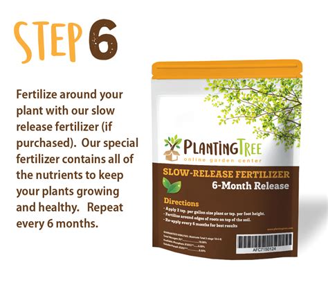 Planting Trees And Shrubs Directions PlantingTree