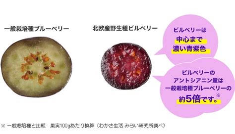 【口コミ】効果ある？ブルーベリーアイの評判から飲み方まで徹底解説！！