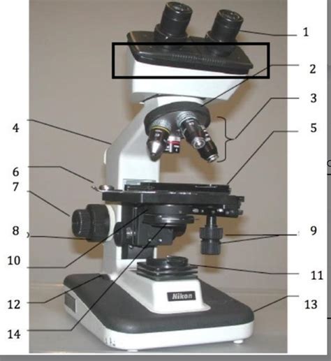 Lab Quiz Bio Microscope Diagram Quizlet