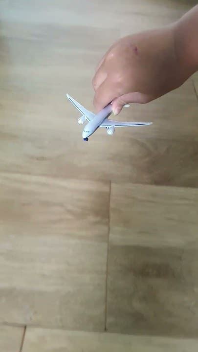 출처잘생긴 베이컨비둘기트렉스 Youtube