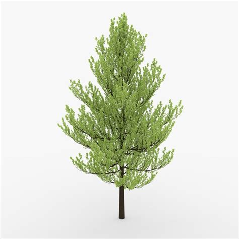 Tree Blender Dae D Model TurboSquid