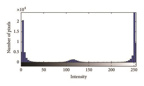 The Histogram Without Equalization Download Scientific Diagram