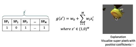 [可解释机器学习]task06：lime算法学习 csdn博客