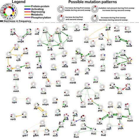 Subnetwork Consisting Of Multiple Connected Components Inferred By Download Scientific Diagram