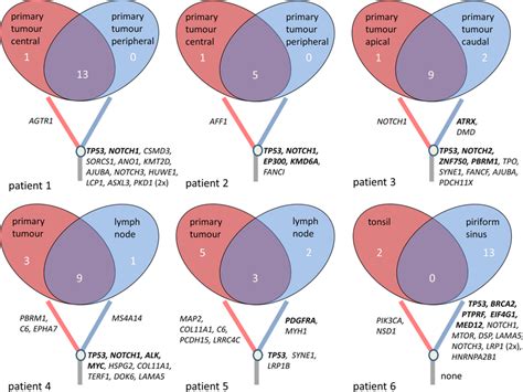 nonsilent coding mutations of the tumours according to spatial