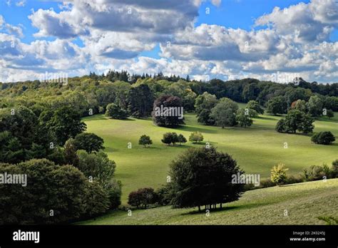 The Countryside At Ranmore Common On A Late Summers Day In The Surrey