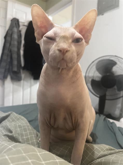 Moob Pic R Oatmealfanclub