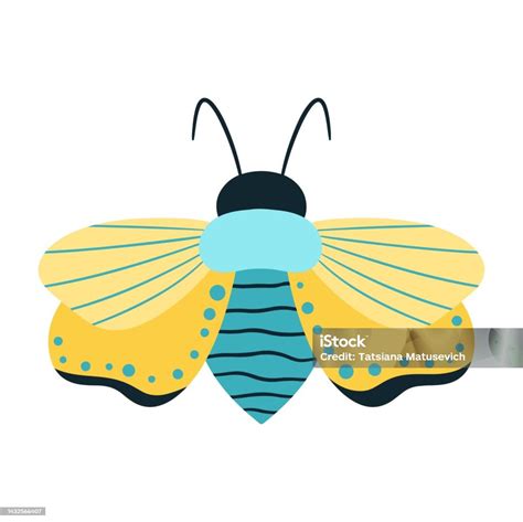 흰색 배경에 고립 된 여러 가지 색의 날개와 안테나가있는 열대 나비 나방 비행 나방 정상보기 이국적인 봄 곤충 벡터 일러스트