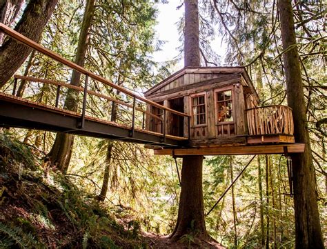 Treehouse Retreats Nelson Treehouse