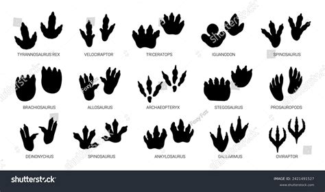 Dinosaur Footprints In Vector