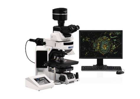 Microscope Droit Bx63 Evident Olympus Micro MÉcanique