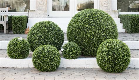 Artificial Topiary Balls Enduraleaf New Growth Designs