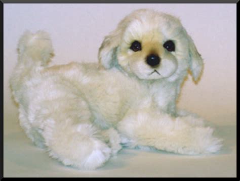 Small Sheepdog Breeds Dog Breeders Guide