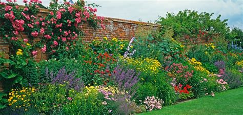 Plants To Use For Borders