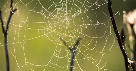 NET 5 Breaking Changes For ASP NET Core InfoQ