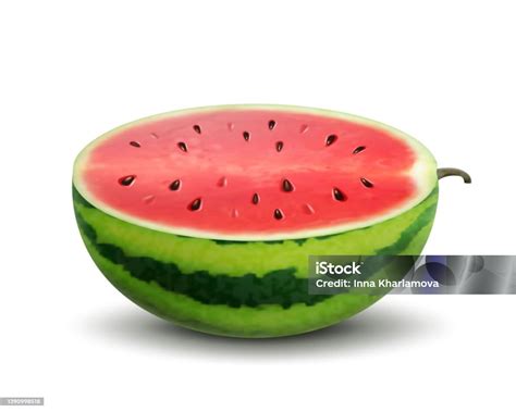 흰색 배경에 고립 된 씨앗이있는 반 수박 여름철 신선한 수박 과일 디자인 요소 신선한 컷과 얇게 썬 수박 육즙이 많은 과일 사실적인 3d 벡터 입체 이미지에 대한 스톡 벡터