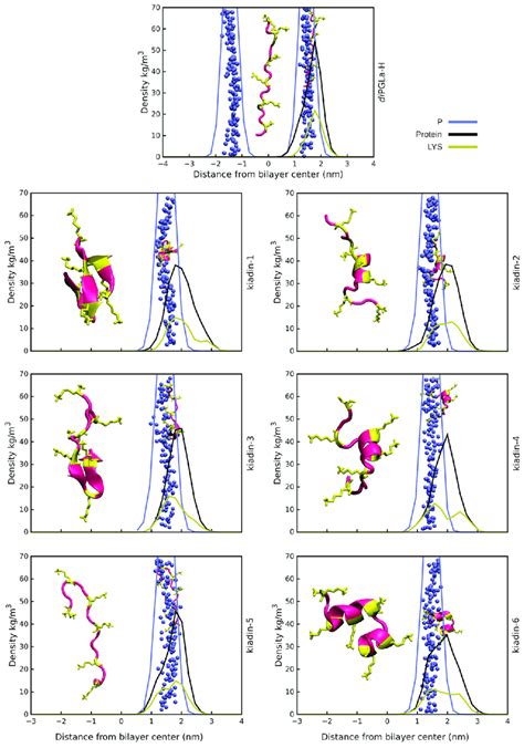 Density Profiles For Kiadin Peptides With The Dlpc Membrane Sampled