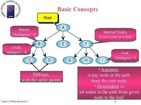 Introduction Totrees