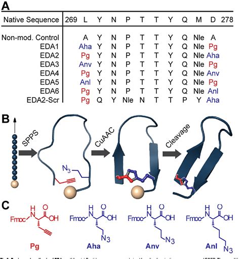 Figure 2 From Inhibiting Egfr Dimerization Using Triazolyl Bridged