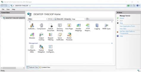 How To Check The Installed Version Of Iis On Windows 11